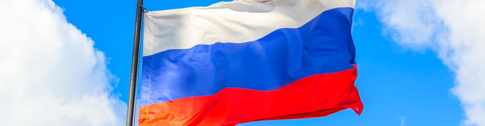 Food Colour Manufacturer in India and Exporter to Russia