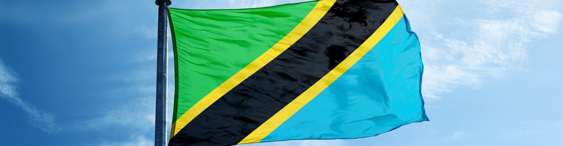 Food Colour Manufacturer in India and Exporter to Tanzania